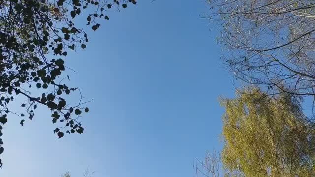 Баллада грусти