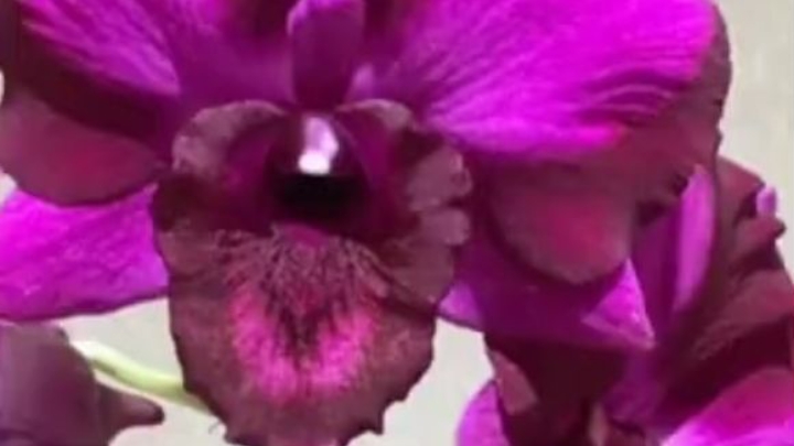 П-9. Ч-1. Распаковка девятой посылки. Часть 1