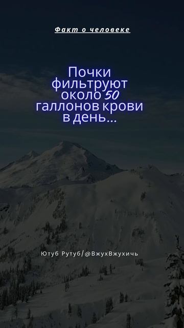 (N5 ) Цитаты о человеке