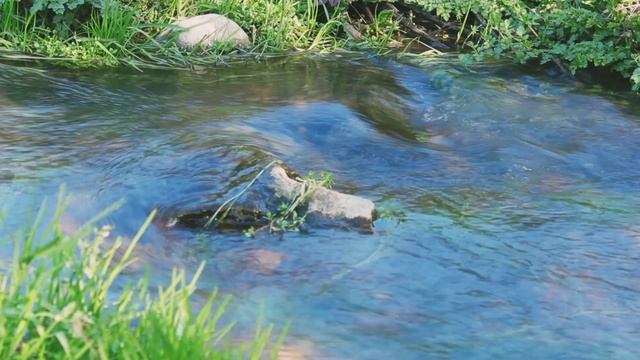 Приятное течение лесного ручья и пение птиц для отдыха и разгрузки нервной системы.