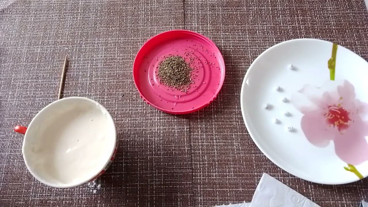 ЛАЙФХАК, как посадить петунью, бархатцы.Готовлю семена моркови 2 способа