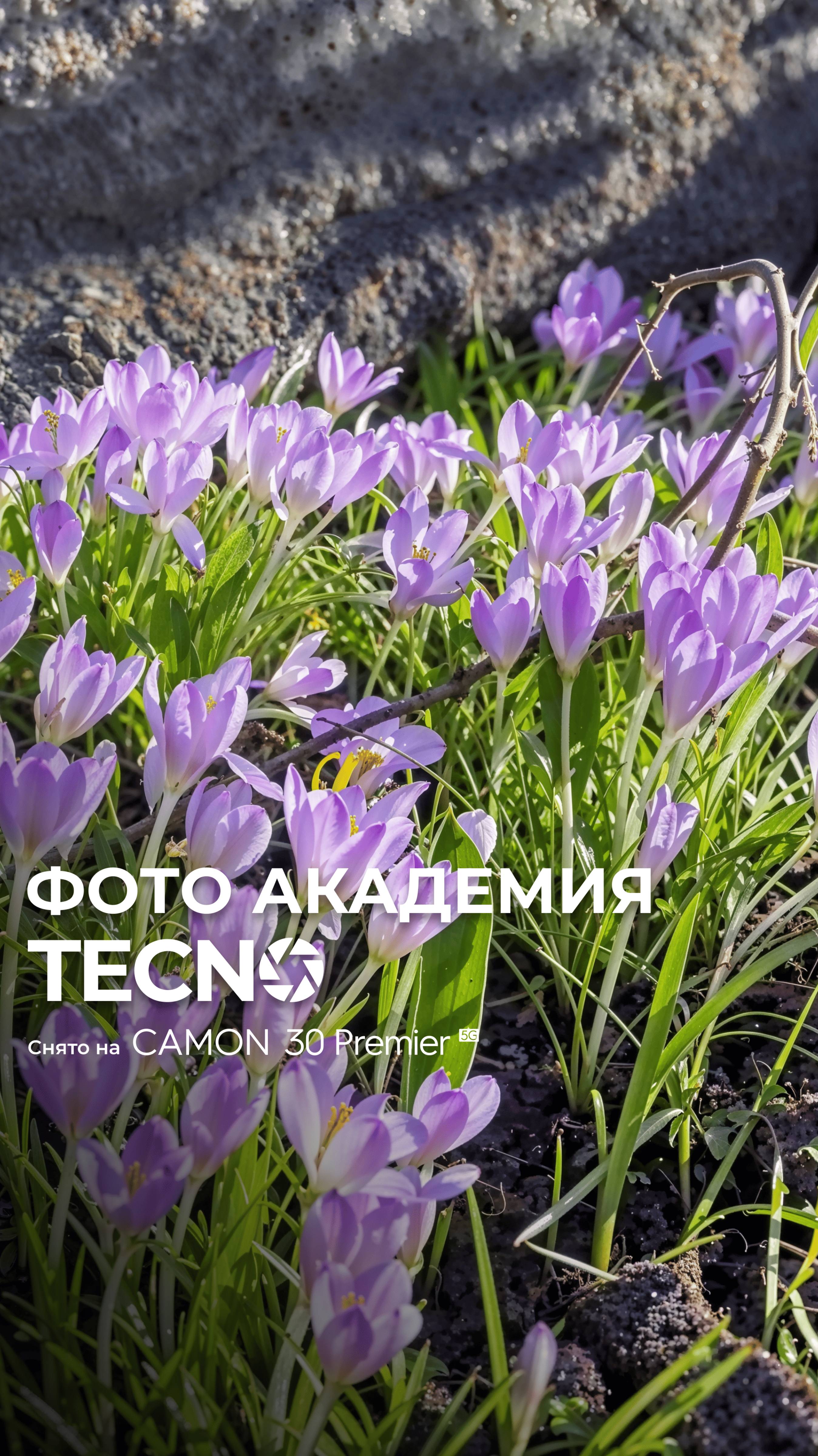 Как не пропустить весну? #TECNO #ФотоАкадемияTECNO