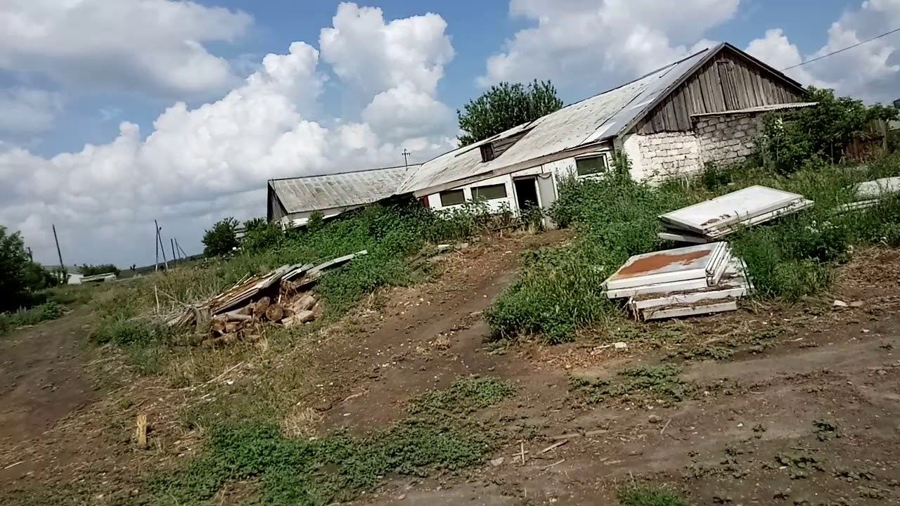 Братья Дуцевы насвинничали у святого источника в Ташле