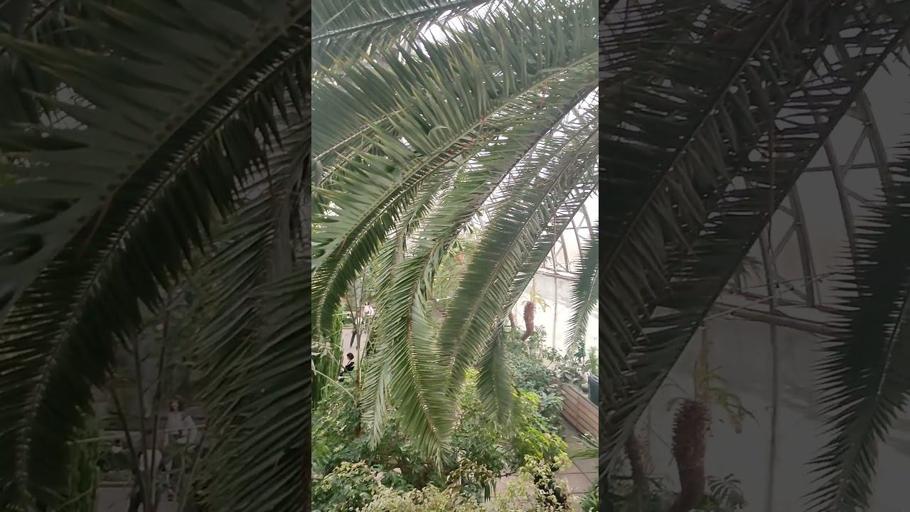 Кафе с видом на лето