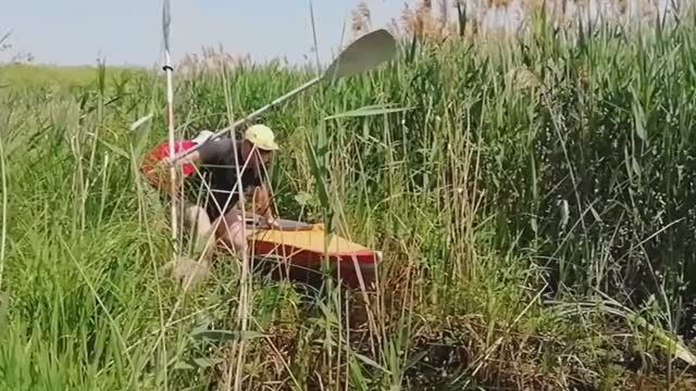 МЕЩЁРСКИЙ КРУГ