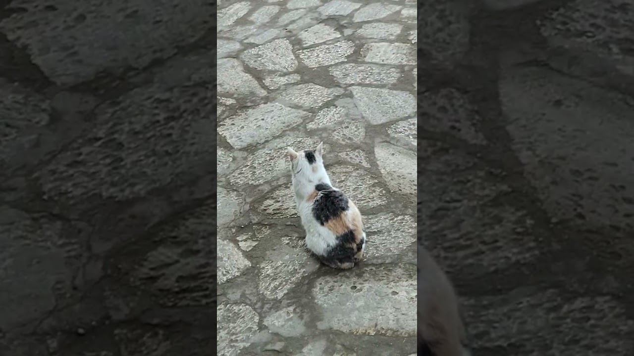 19 января 2024 г.