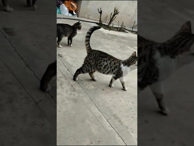 21 января 2024 г.