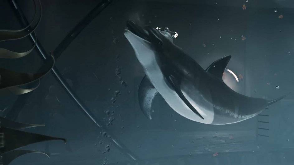 Игры с дельфинами / 7 / DLC Чары морских глубин / Atomic Heart