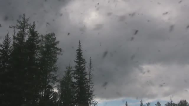 Дубчес 2013. Клип. Рыбалка.