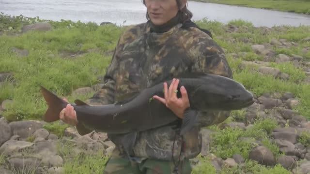 Рыбалка на Бахте. 2008г Рыбацкий Клип.