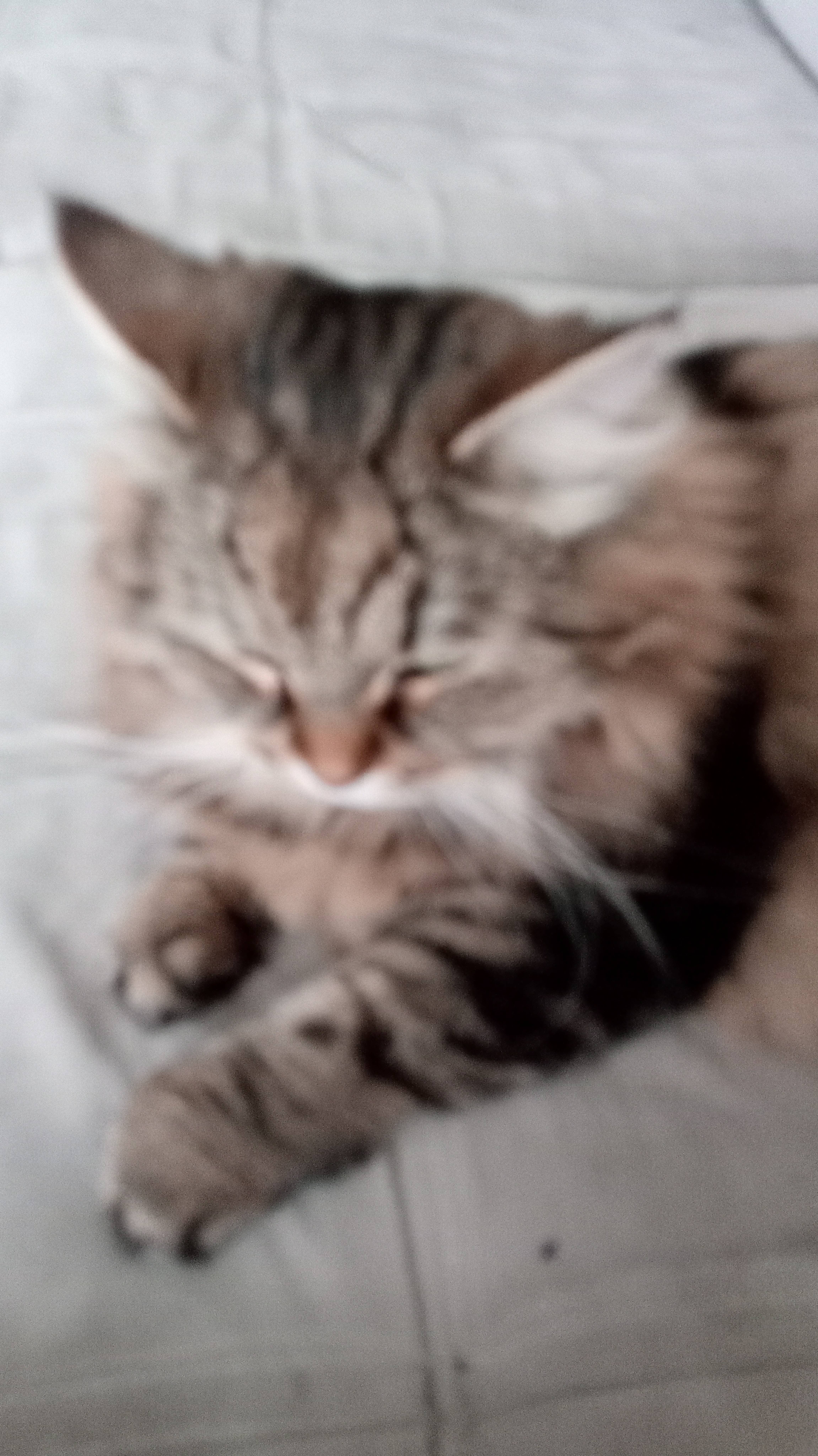 Какой же он милый☺️