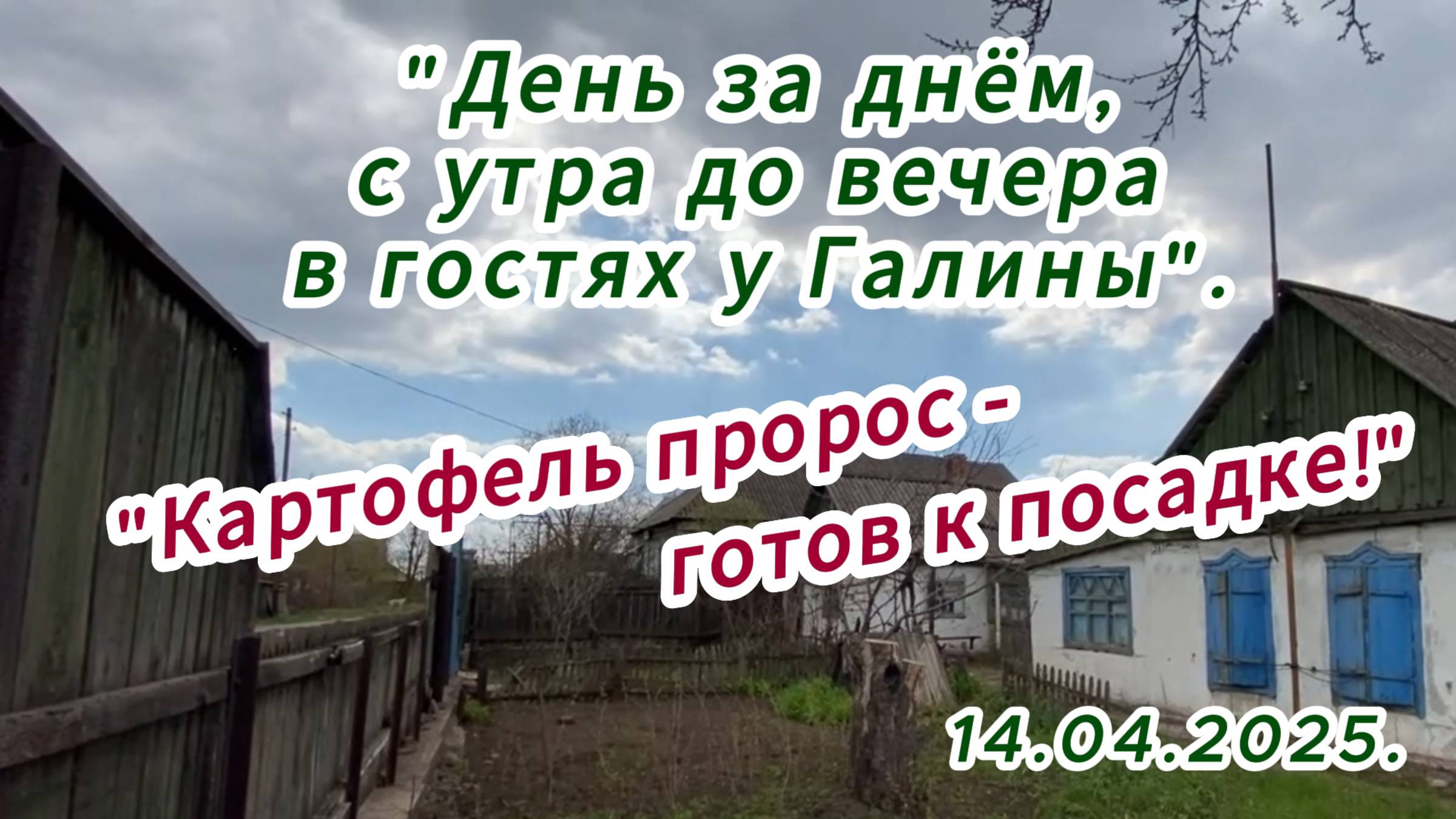 2025. "Картофель пророс - готов к посадке". 14 апреля.