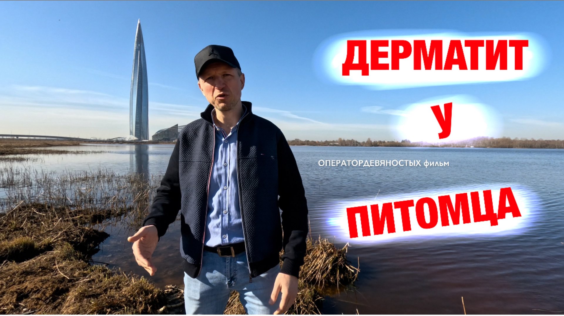 Дерматит у собаки - всё, что нужно знать.