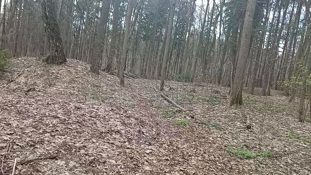 Красота! Деревья украшены рисунками, так приятно весной в Битцевском лесопарке Москвы!