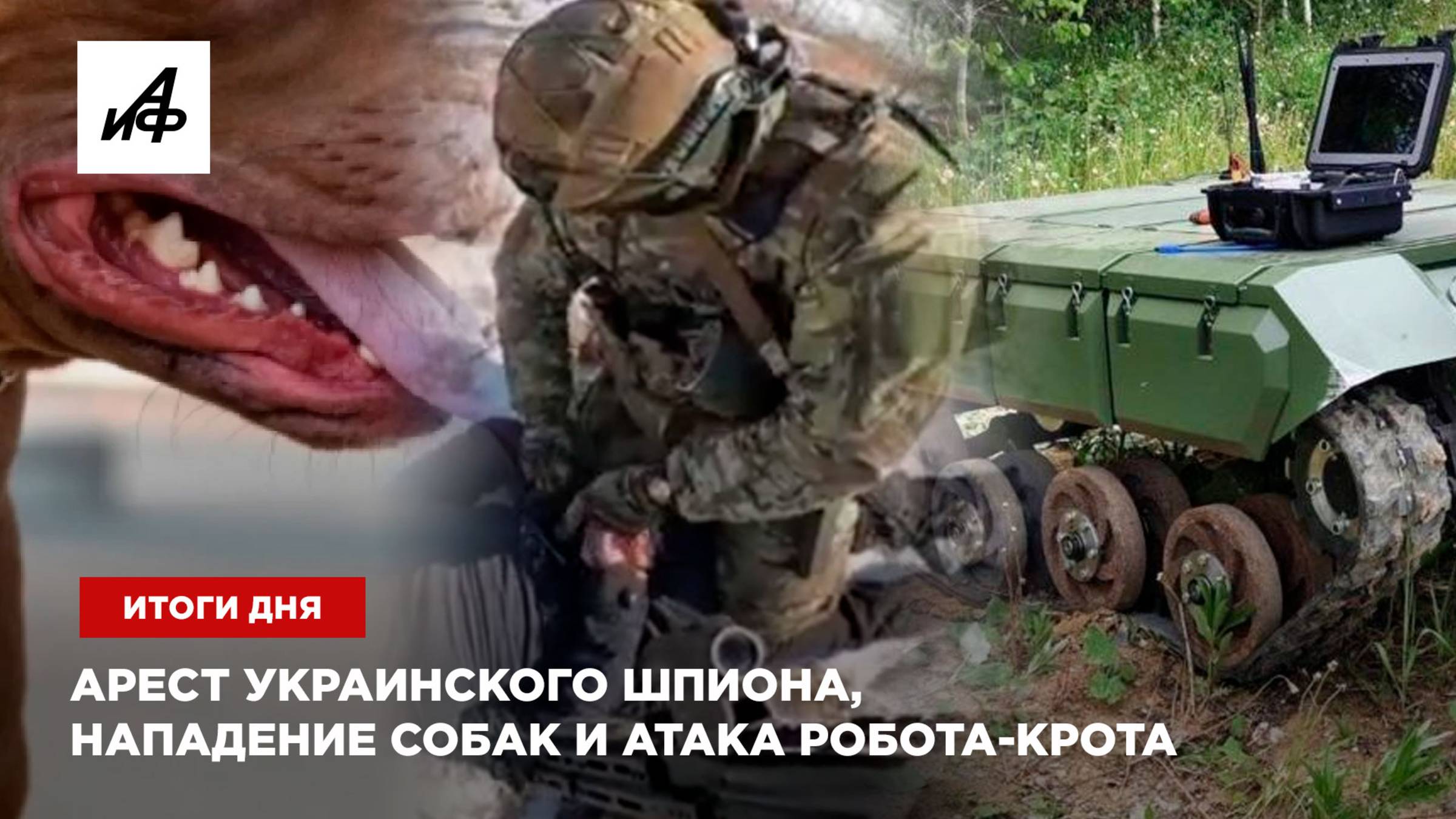 Арест украинского шпиона, нападение собак и атака робота-крота — итоги дня