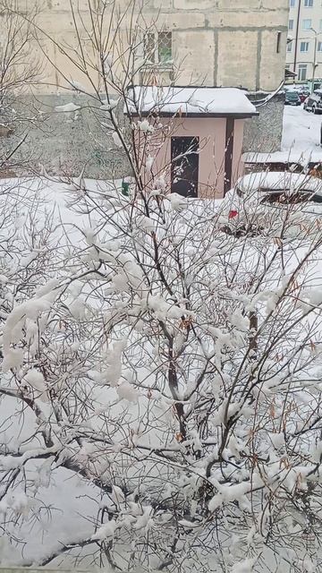 А из нашего окна - Магадана часть видна...