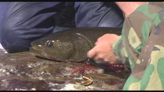 Бахта 2008г. Часть 3. Фильм. Рыбалка на севере. Интереснейшая рыбалка