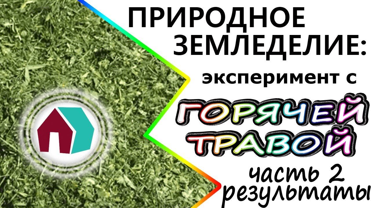 ГОРЯЧАЯ ТРАВА в ПРИРОДНОМ ЗЕМЛЕДЕЛИИ (эксперимент) часть 2