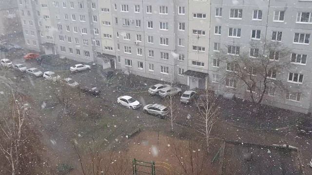 ВЕСНЫ ПРИЧУДЫ