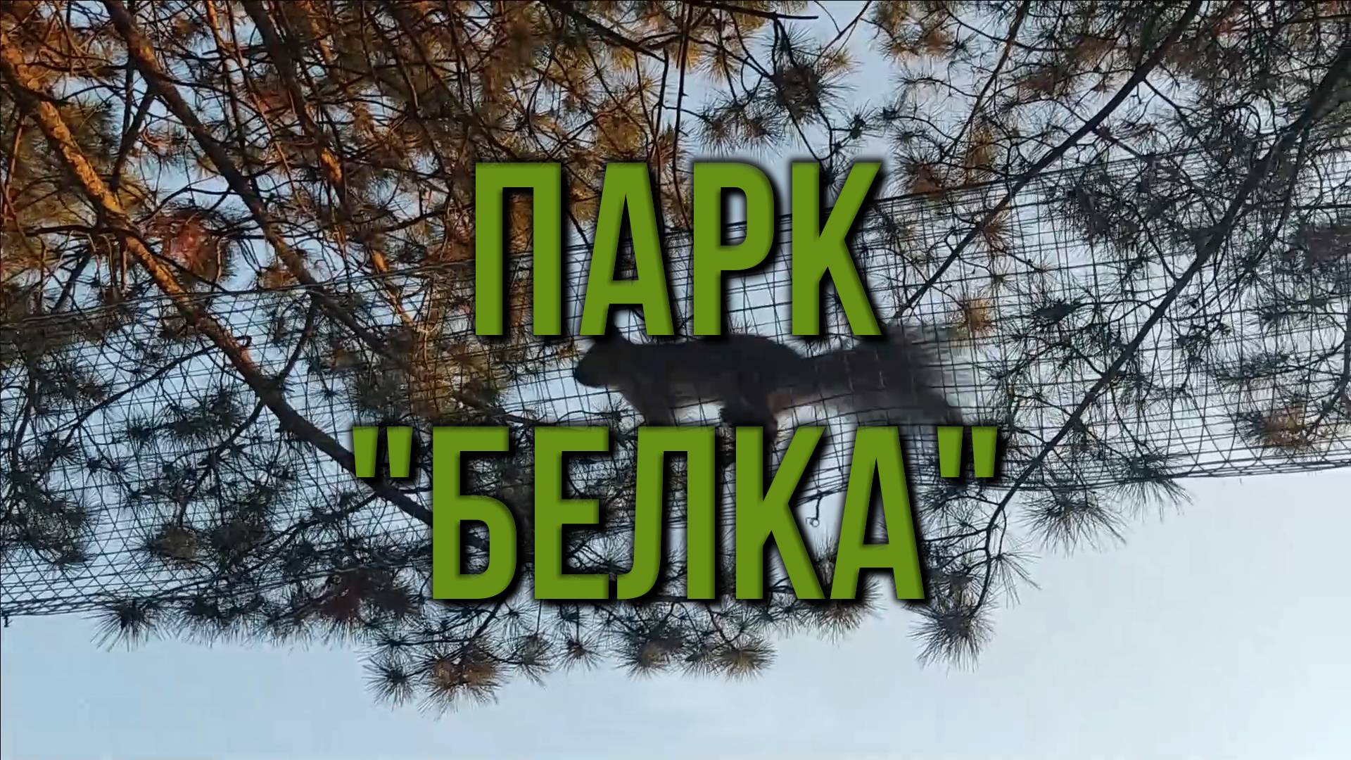 #12 Парк "Белка". 2022 г. Анапа, Краснодарский край