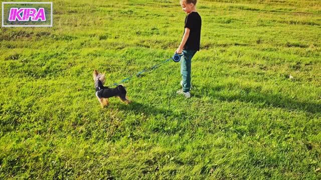 ЗАБРЕЛИ В ТАИНСТВЕННЫЙ ЛЕС ВДАЛИ ОТ ГОРОДА. КИРА И ПАПА ПОТЕРЯЛИСЬ В ЛЕСУ!