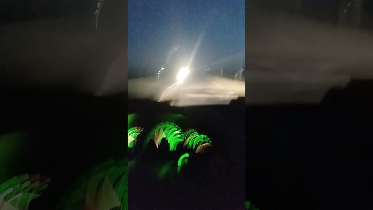 18 января 2024 г.