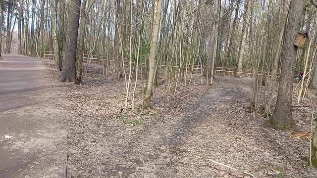 Много в парке кормушек для птиц и белок, скворечники на деревьях! В Бицевском лесу забота о животных