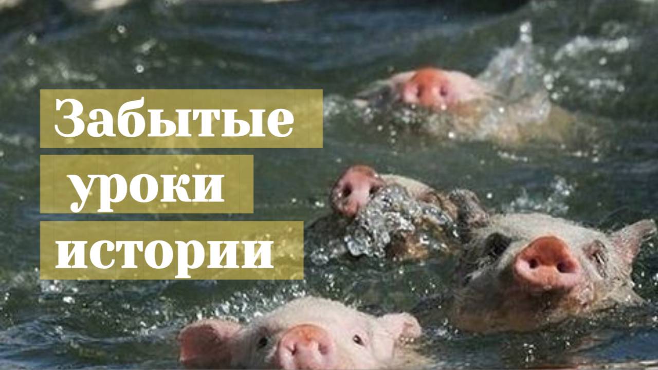 Как русский орёл немецкую свинью плавать учил