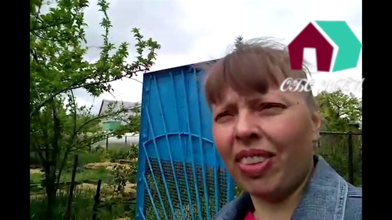 ПОСЕВ СИДЕРАТОВ. ПЕРВЫЕ ОШИБКИ В ПРИРОДНОМ ЗЕМЛЕДЕЛИЕ.