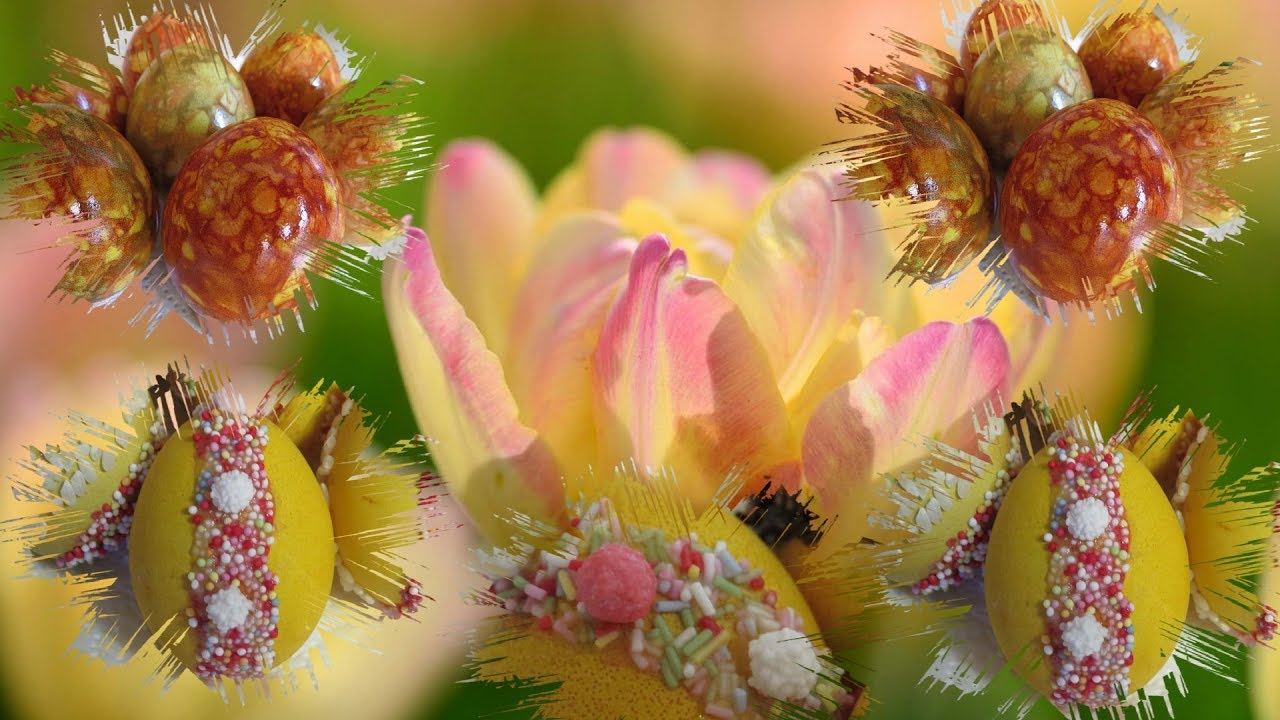 Как покрасить Яйца на Пасху - 3 Новых Способа! ПАСХА 21! How to Color Eggs for Easter - 3 New Ways!