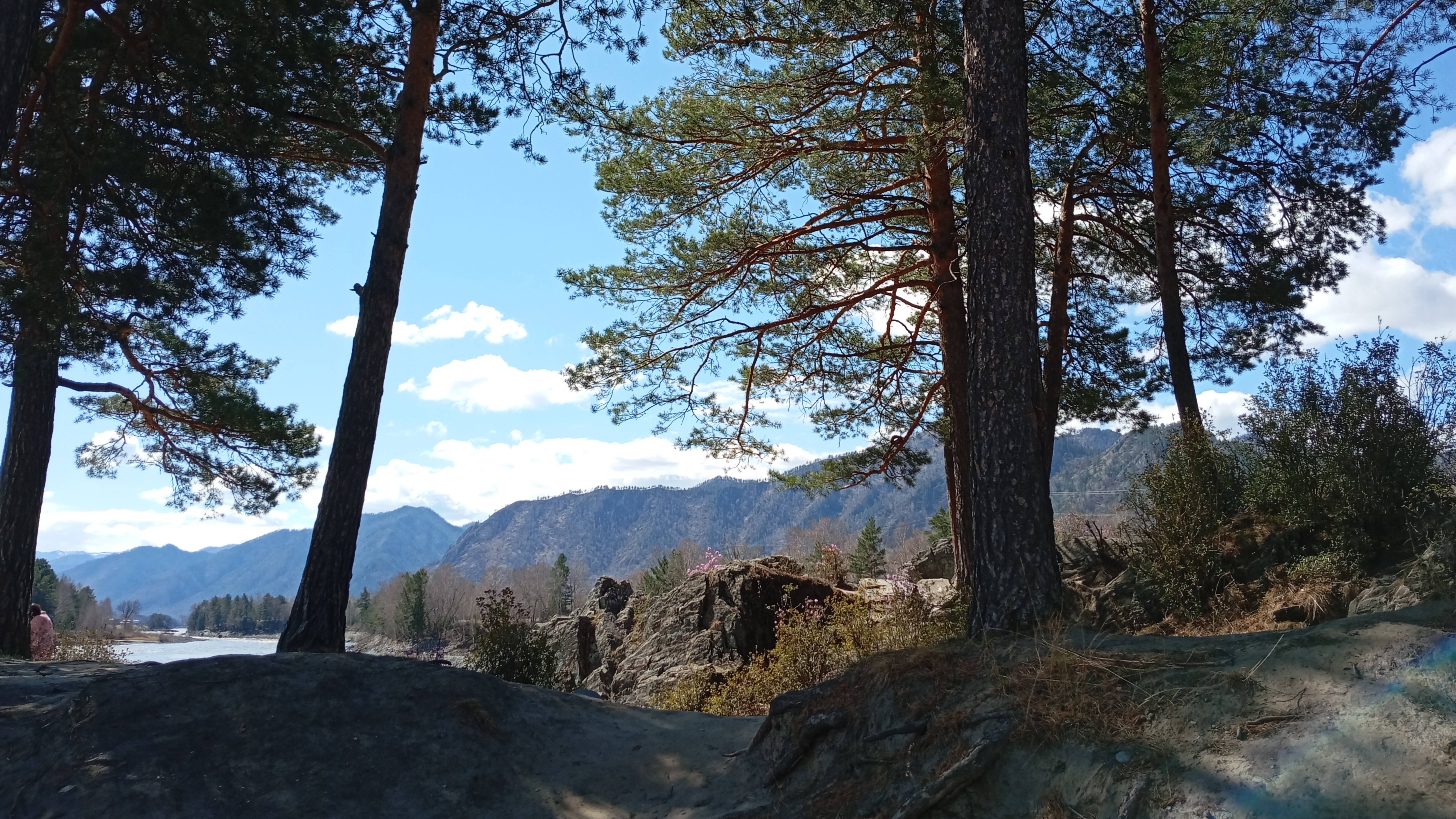 Зубы дракона,🐉Алтай,♥️