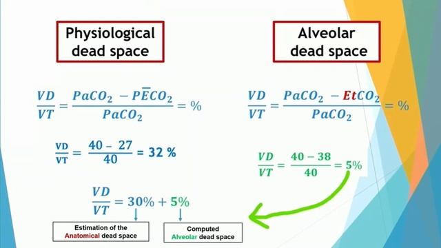 CAPNOGRAPHY AND DEAD SPACE SICEM-44 (2025)