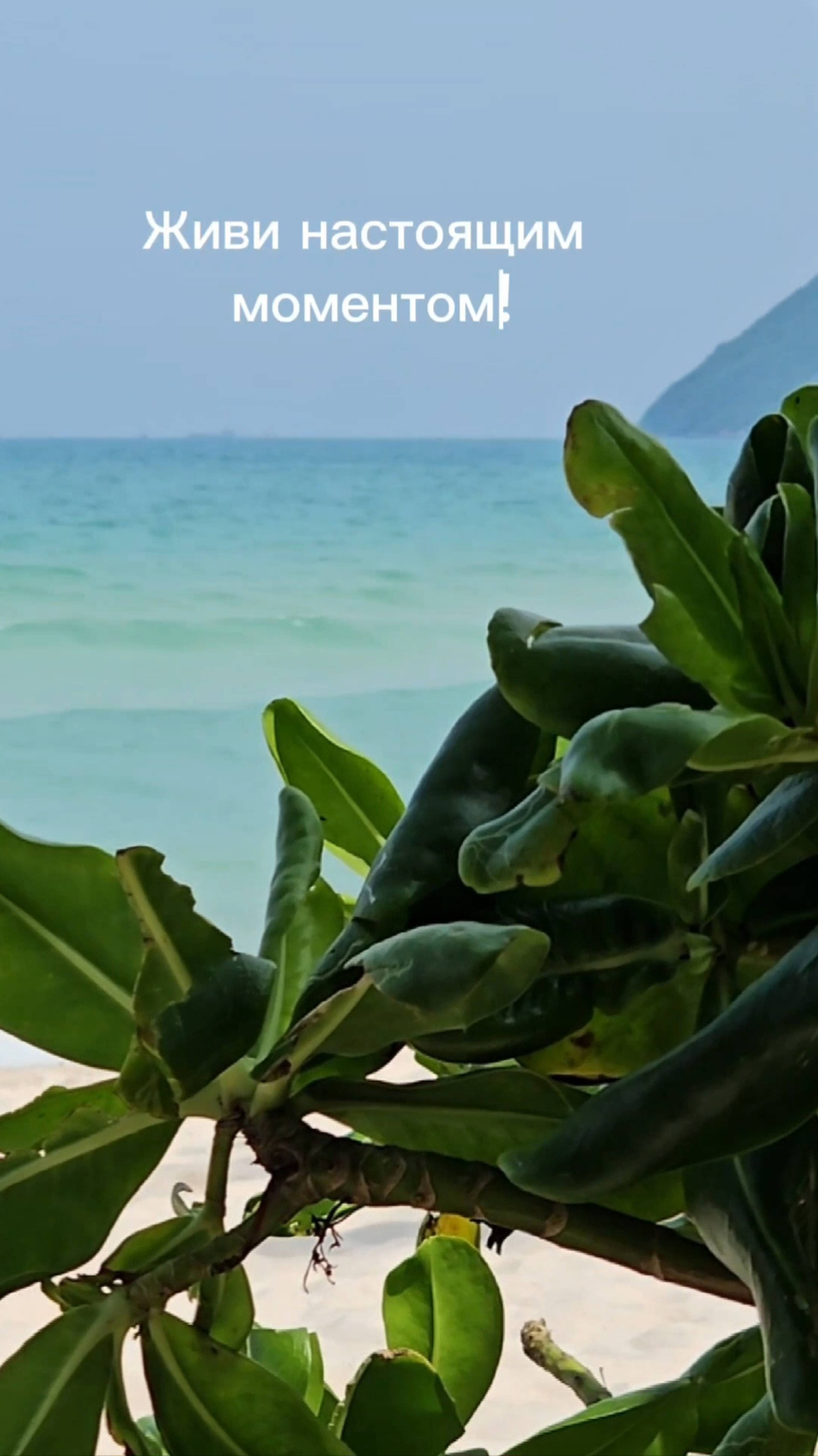 Живи настоящим моментом! Мотивационное видео! Фукуок Вьетнам 2025!