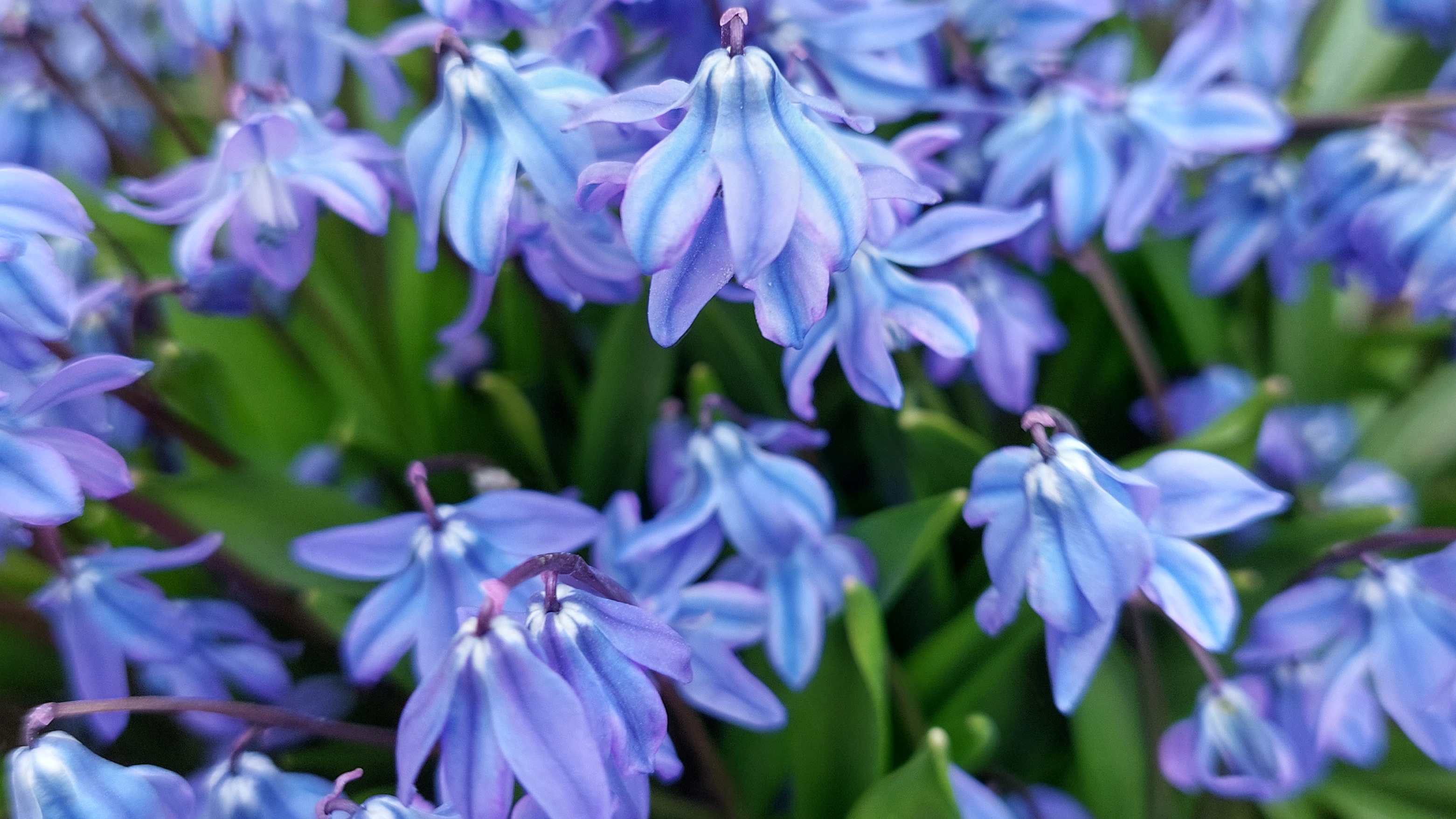 весенний адвент 2025/задание 18/вышивка крестиком