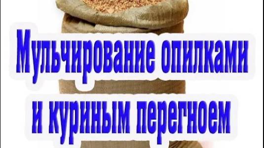 Мульчирование огорода с опилками и куриным перегноем.