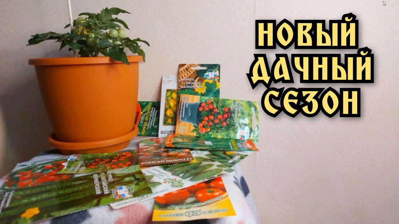 Дачный сезон 2022. Мои семена на рассаду.