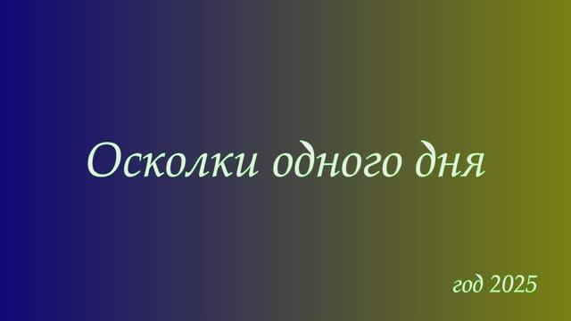 Осколки одного дня