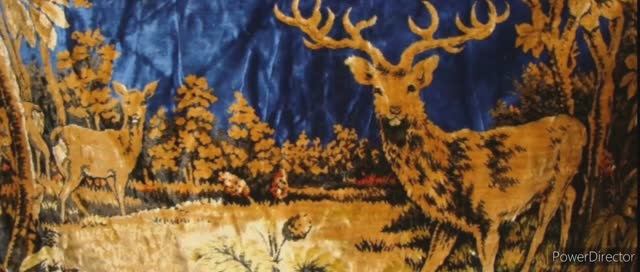 Родина была, она ею и осталась