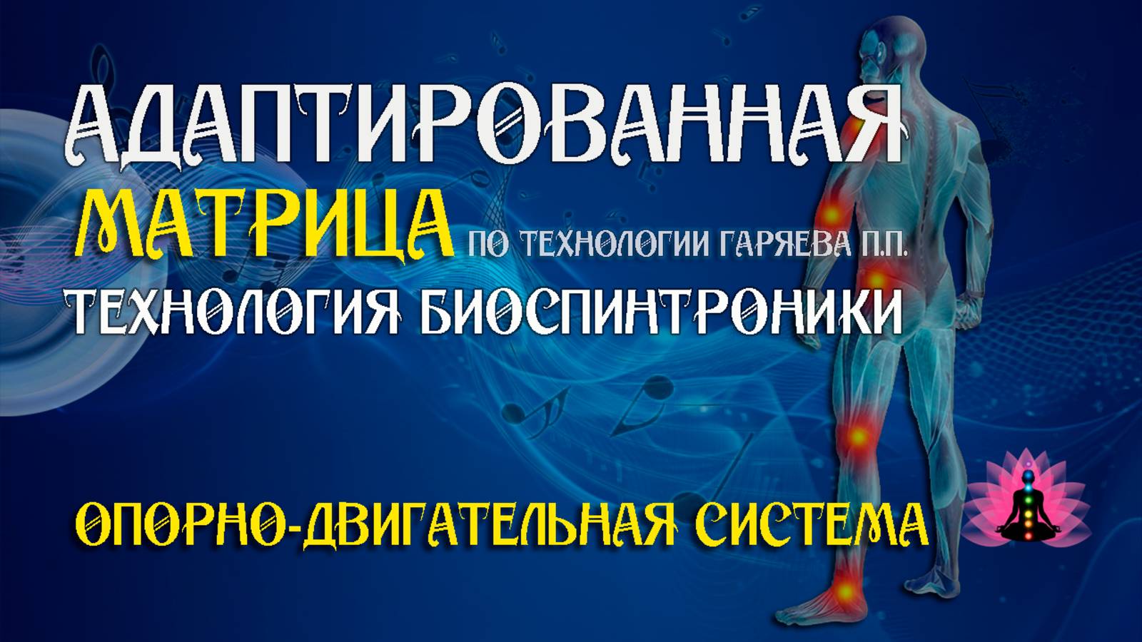 Опорно-двигательная система 🎶 программа матрица по технологии Гаряева П.П ☀️ SoftRadio.ru