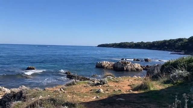 Весеннее Пробуждение