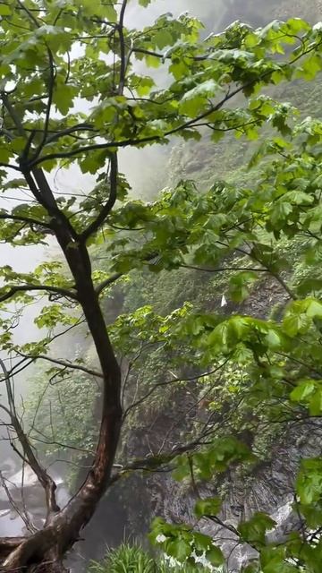 Латонный водопад в Иране