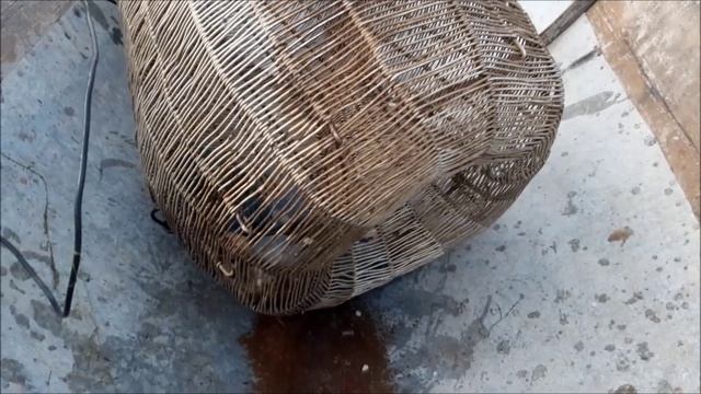 Ротан ест сам себя - рыбалка на мордушку Сибирские озёра