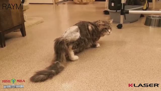 KLaser в деле. Клинический случай.