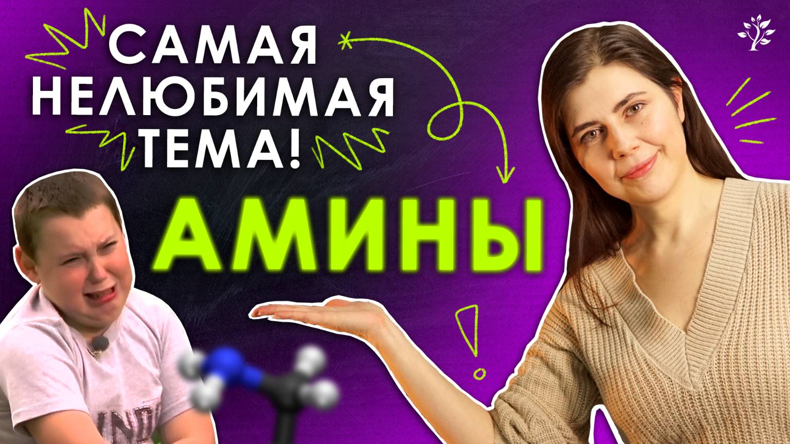 Самая НЕЛЮБИМАЯ тема по ХИМИИ ｜ Амины #химия