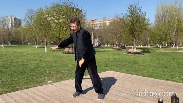 #Боевой_Бадуандзинь для начинающих стиля "Орлан и барс"=