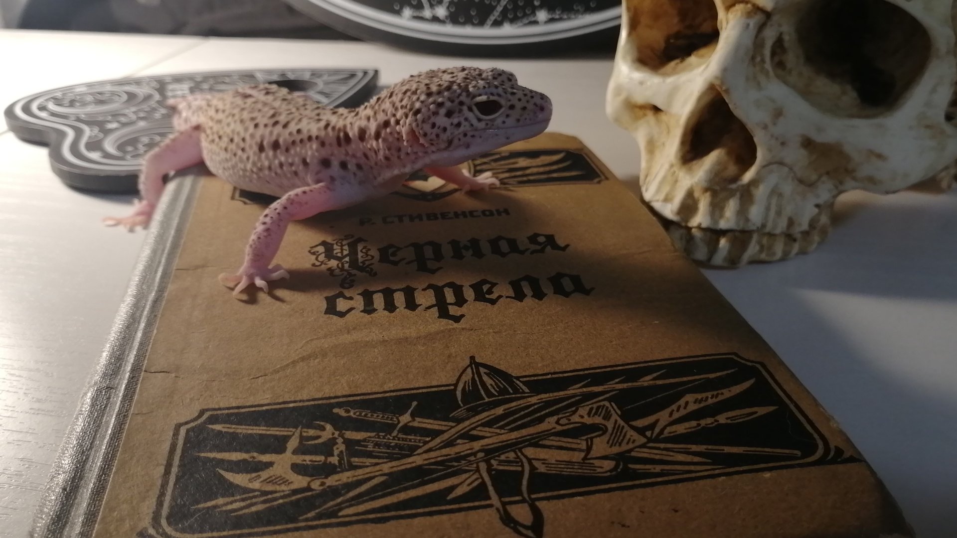 4. "Чёрная стрела"🏹 Роберт Стивенсон. Глава 3. Перевоз у болота.