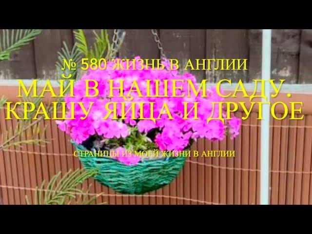 Переезд. Май в нашем саду. Крашу яйца и другое. № 580 Жизнь в Англии