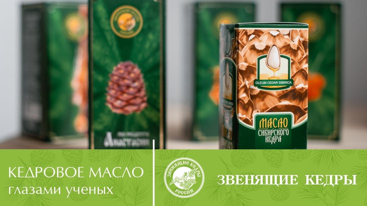 Кедровое масло глазами учёных