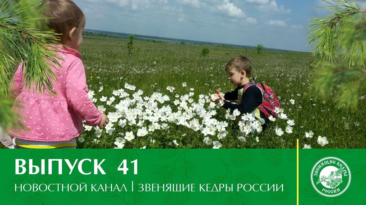 Новостной канал "Звенящие Кедры России" | Выпуск 41 от 23.10.2020