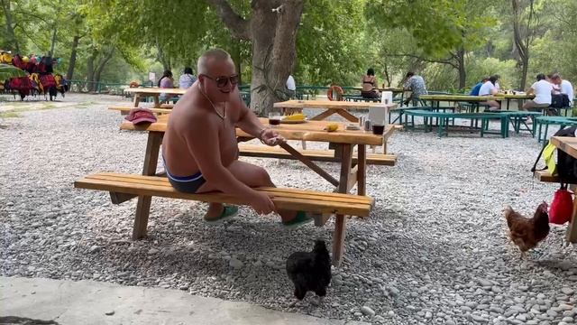 Кормим Турецких куриц от RomanDoktor